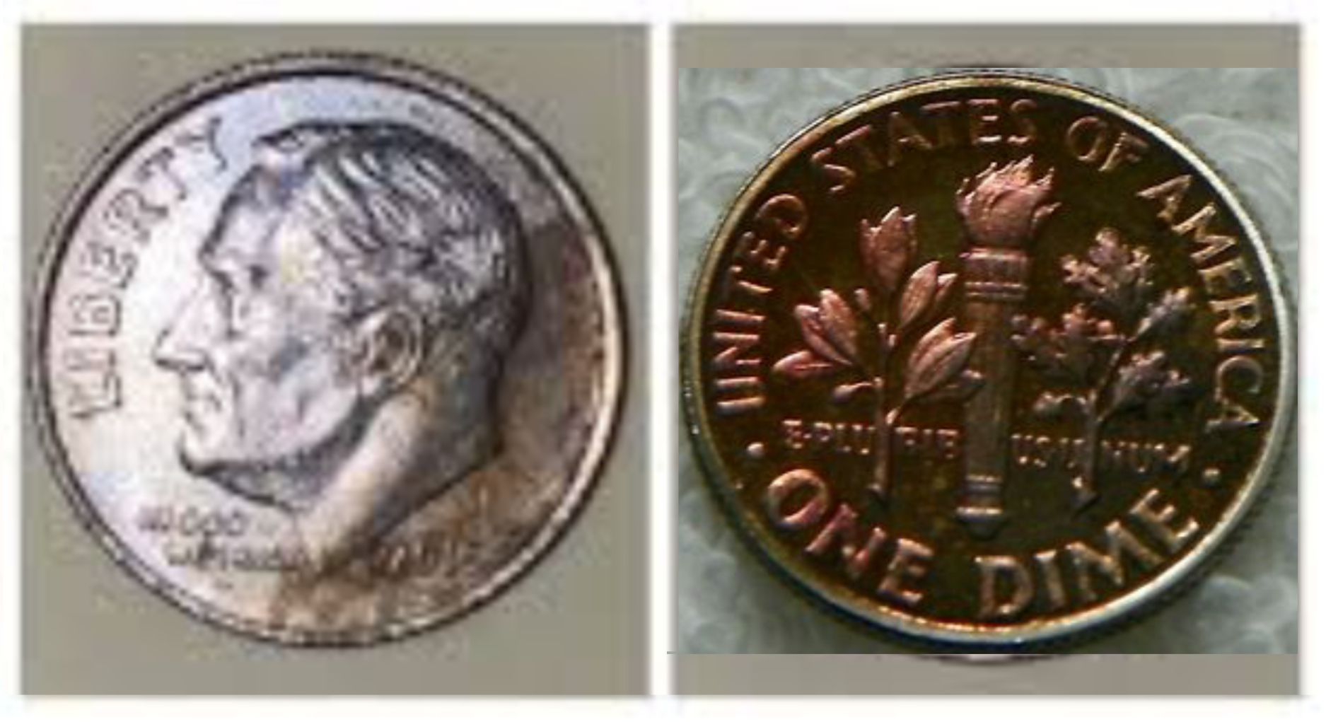 The Silver Dime and 60 Years - Belize River Lodge