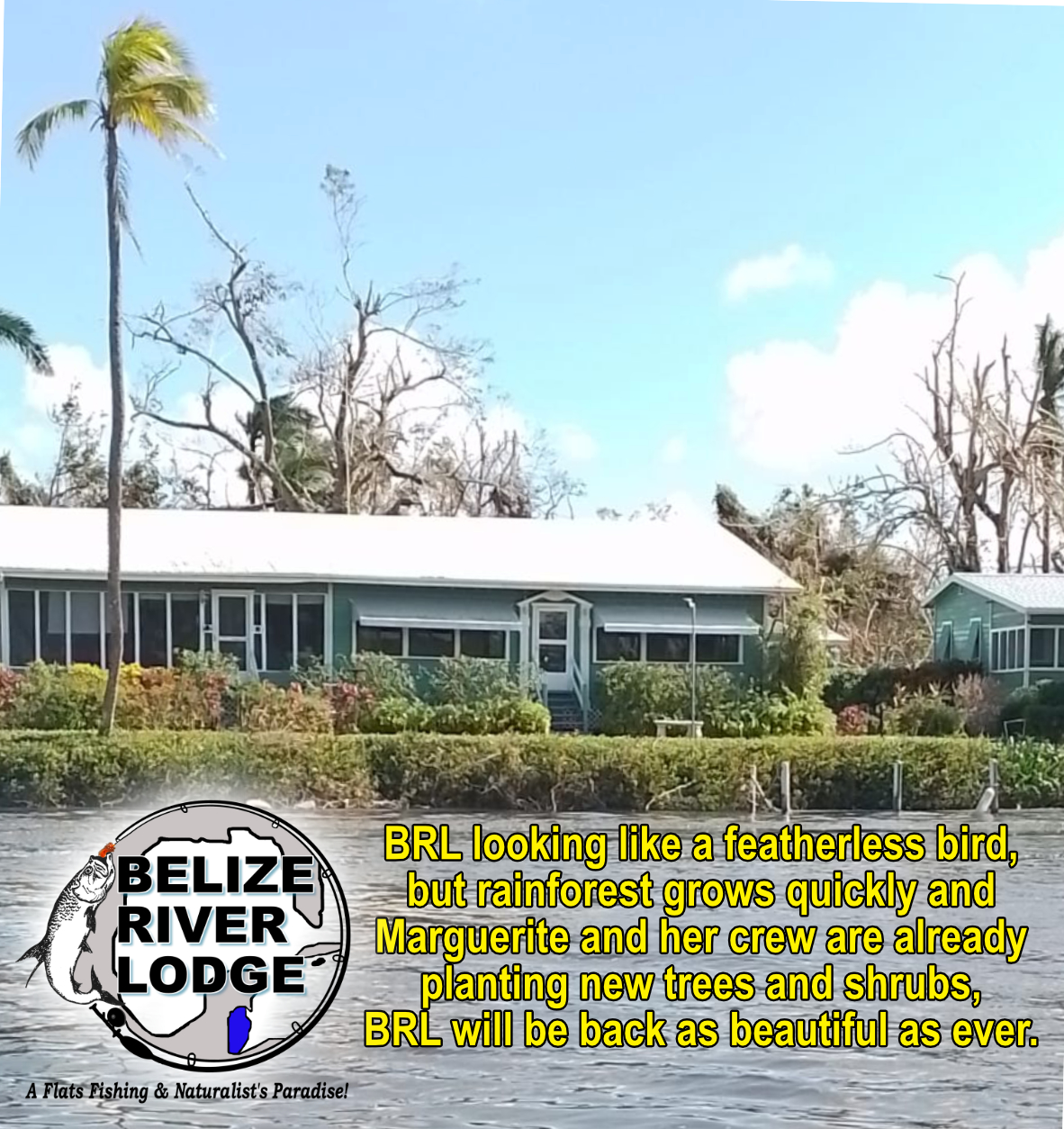 After Hurricane Lisa - Belize River Lodge