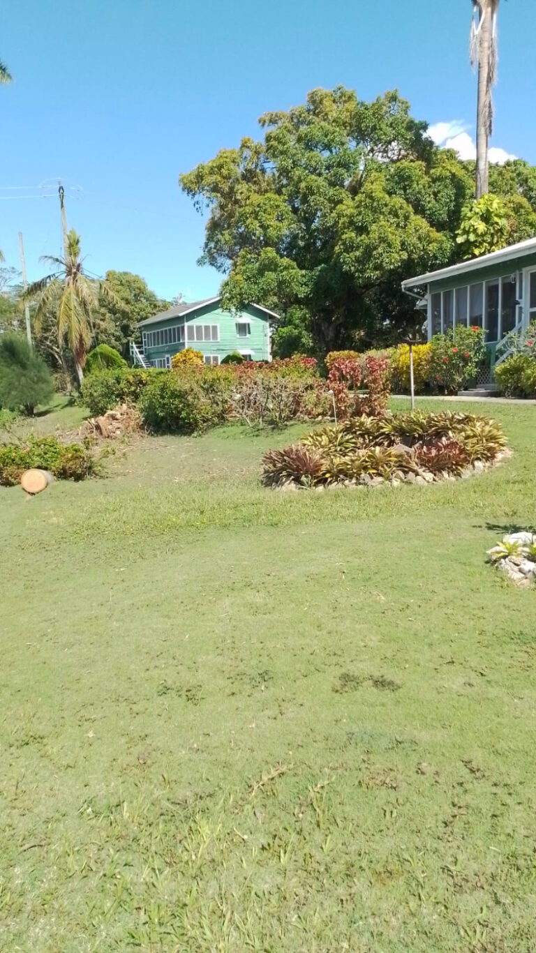 After Hurricane Lisa - Belize River Lodge