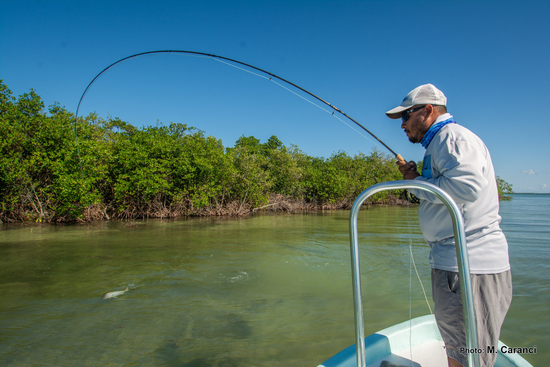 Fish Tales ~ Tarpon, Snook and bigger Bones - Belize River Lodge