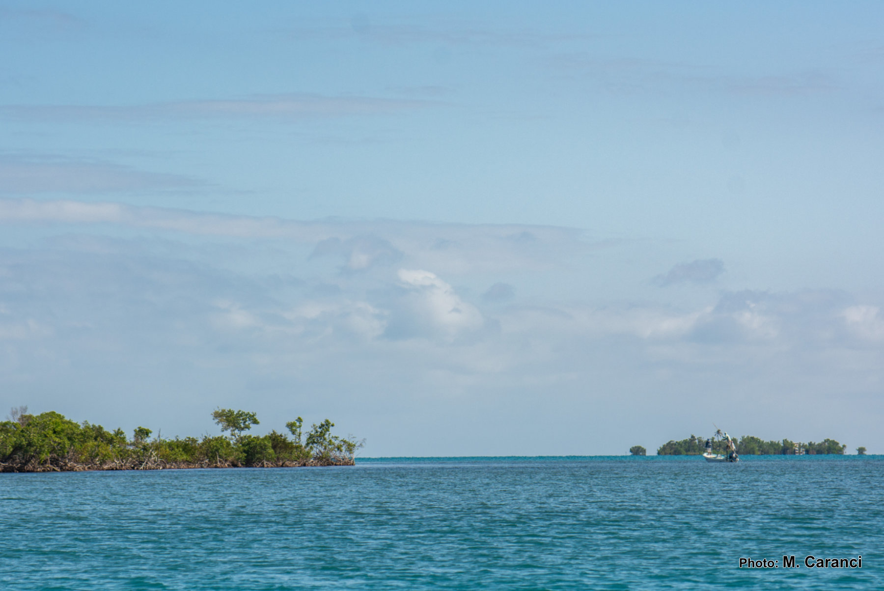 Fish Tales ~ Tarpon, Snook and bigger Bones - Belize River Lodge
